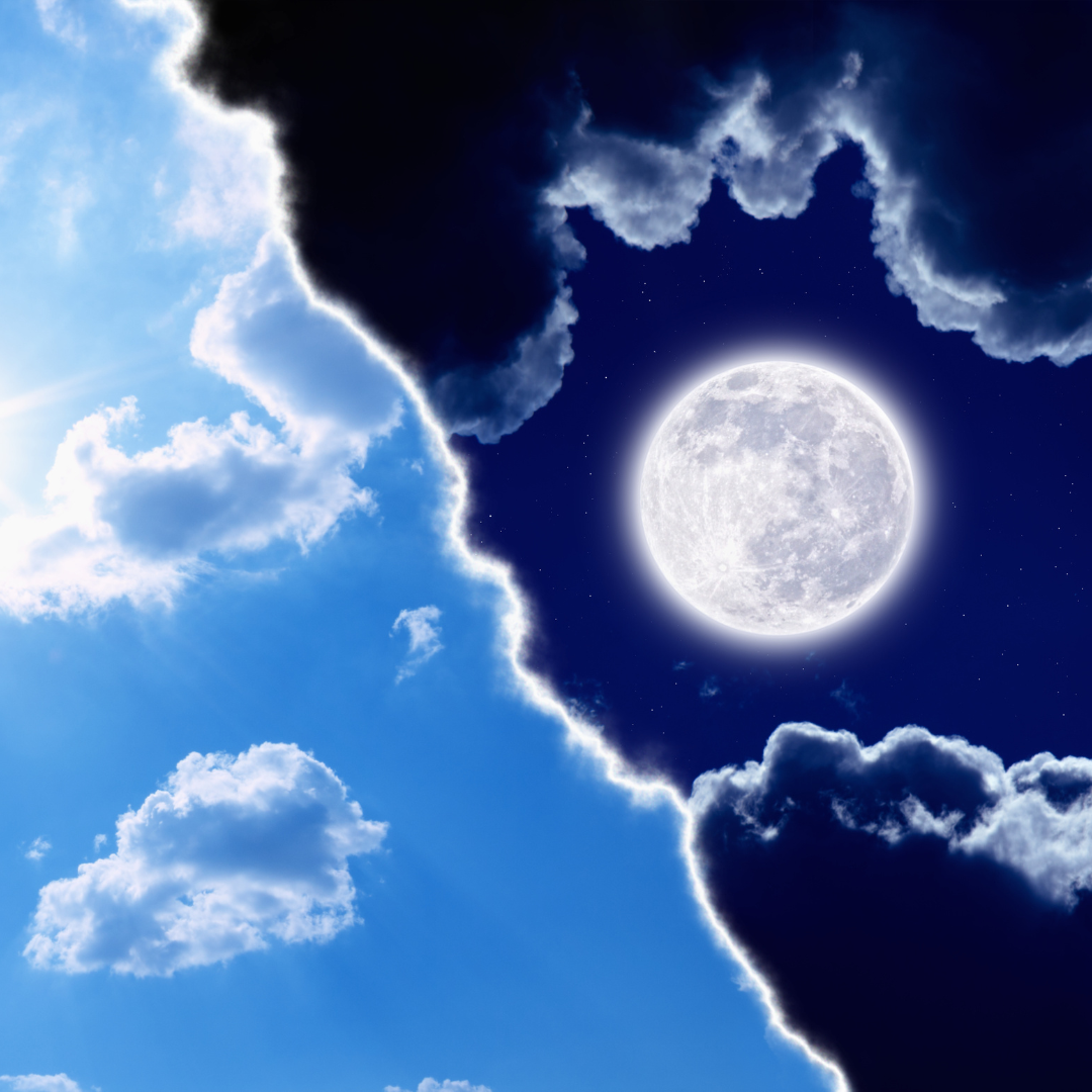 My nightmares are normal. Let me tell you why (and why yours might be ...